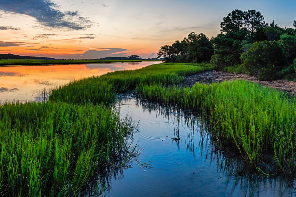 Sandridge : North Myrtle Beach, SC | North Myrtle Beach: A thriving ...